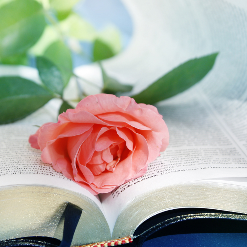 GOD IS WILLING - CHARLENE MURRAY